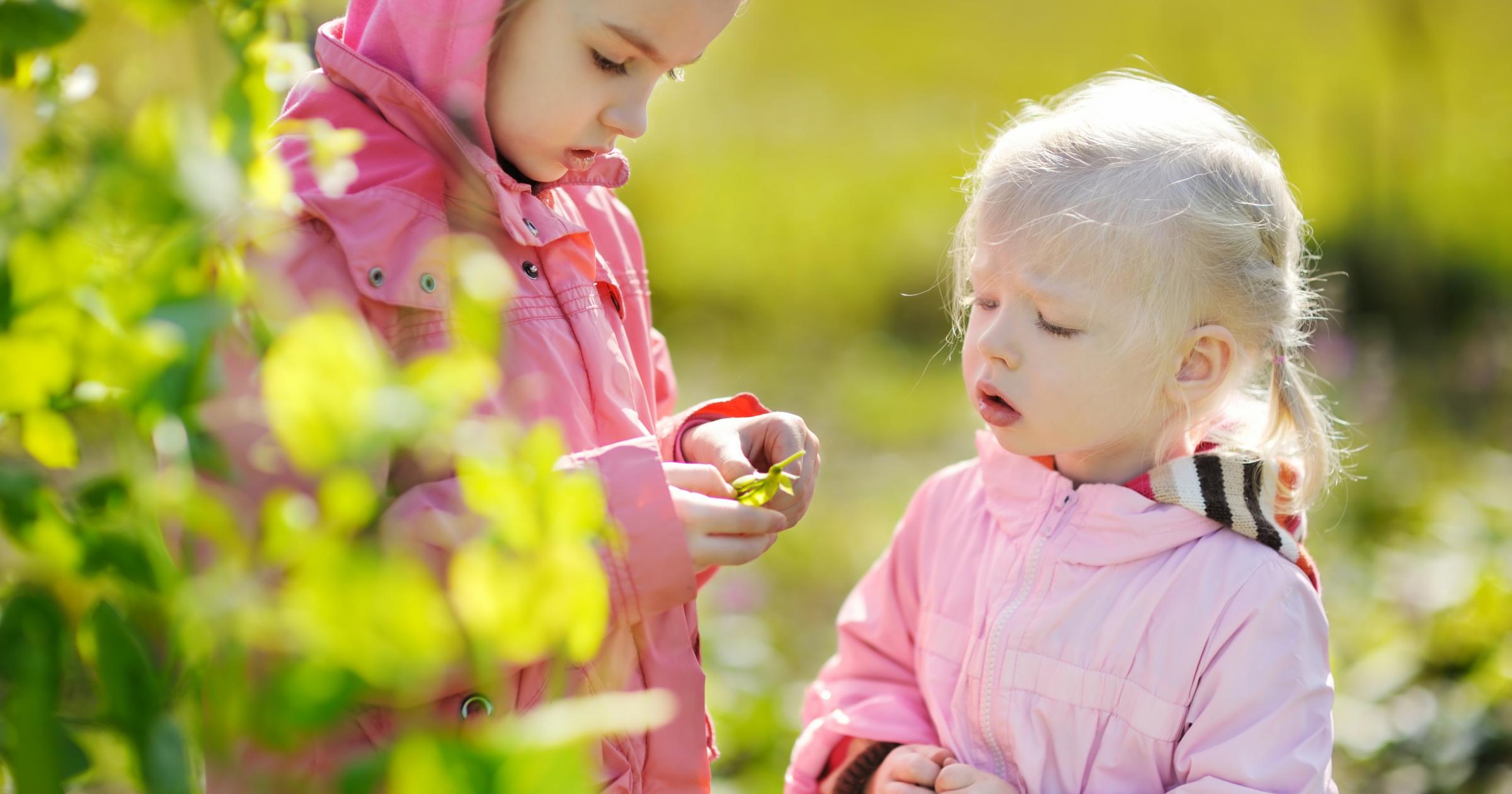 Bundles of Fun with Blueberries | Appetite to Play