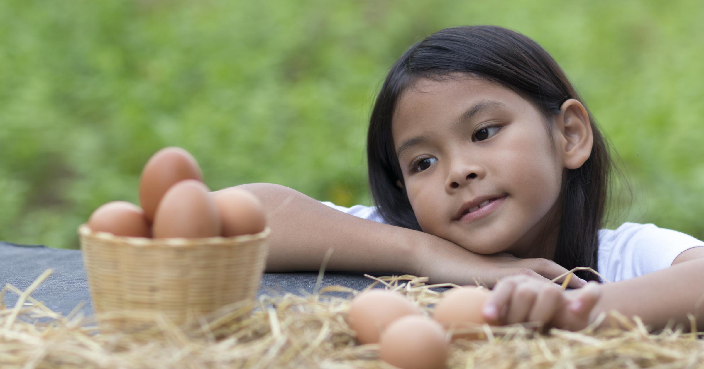 Bundles of Fun with Eggs | Appetite to Play