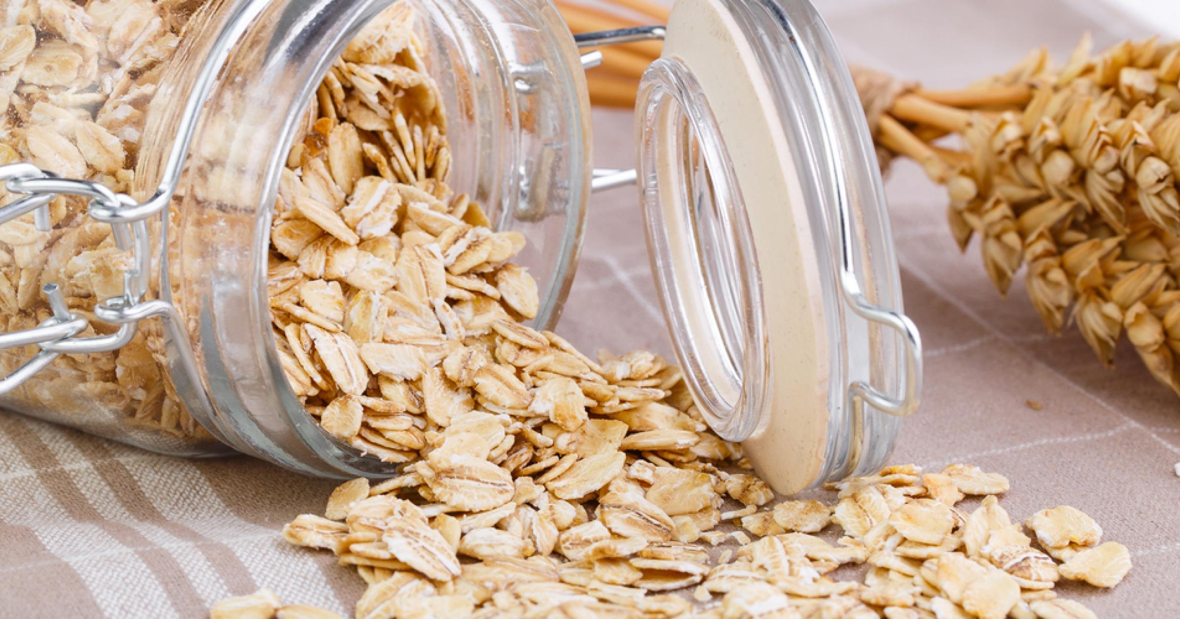Learning About Oats | Appetite to Play