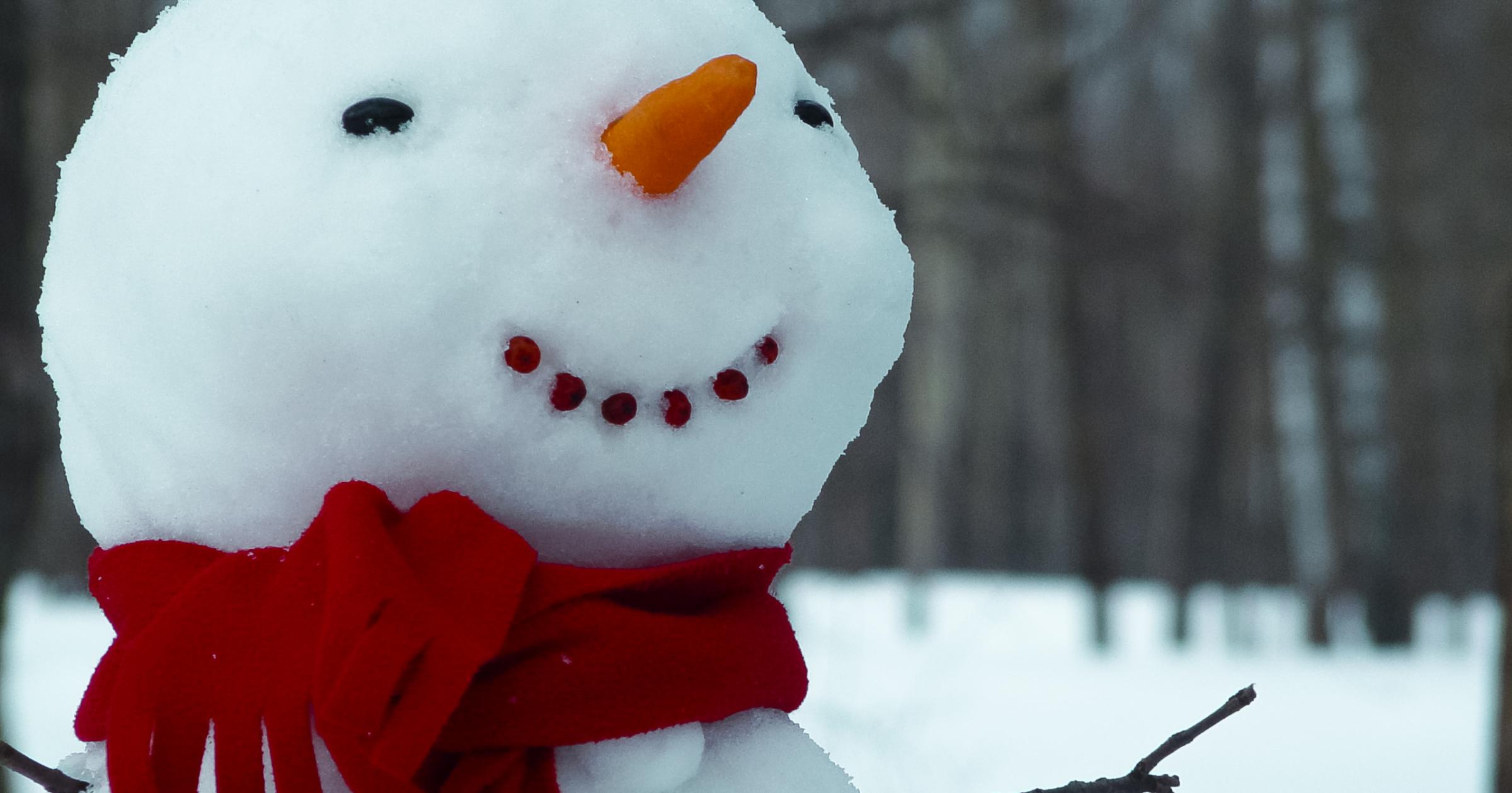 Spoonful of Snow | Appetite to Play