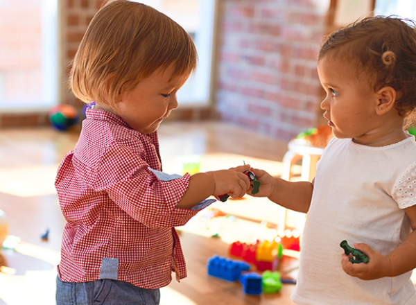 Developmental milestones: 2-3 years old | Appetite to Play